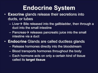 Endocrine_Systemnew.ppt