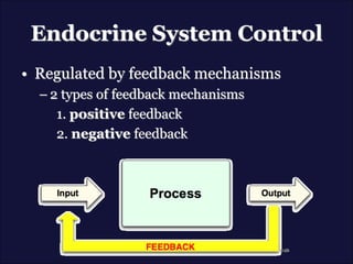Endocrine_Systemnew.pptx