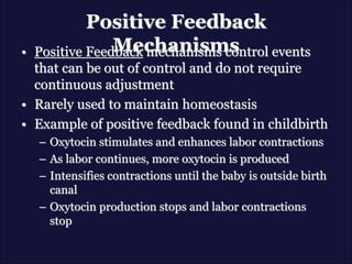 Endocrine_Systemnew.pptx