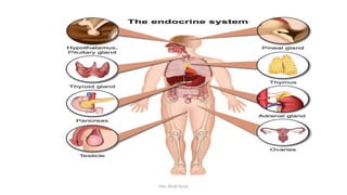 Endocrine System Nirali for 1st Semester B.Sc Nursing & GNM.pptx