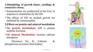 Endocrine System Nirali for 1st Semester B.Sc Nursing & GNM.pptx