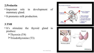 Endocrine System Nirali for 1st Semester B.Sc Nursing & GNM.pptx