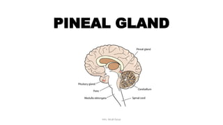 Endocrine System Nirali for 1st Semester B.Sc Nursing & GNM.pptx