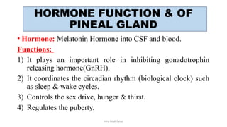 Endocrine System Nirali for 1st Semester B.Sc Nursing & GNM.pptx