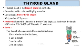 Endocrine System Nirali for 1st Semester B.Sc Nursing & GNM.pptx