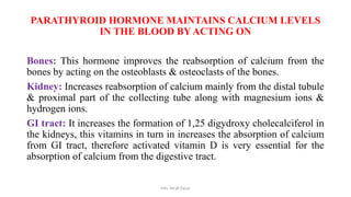 Endocrine System Nirali for 1st Semester B.Sc Nursing & GNM.pptx