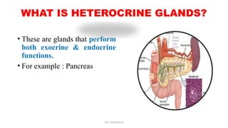 Endocrine System Nirali for 1st Semester B.Sc Nursing & GNM.pptx