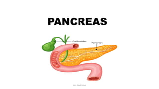 Endocrine System Nirali for 1st Semester B.Sc Nursing & GNM.pptx