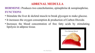Endocrine System Nirali for 1st Semester B.Sc Nursing & GNM.pptx
