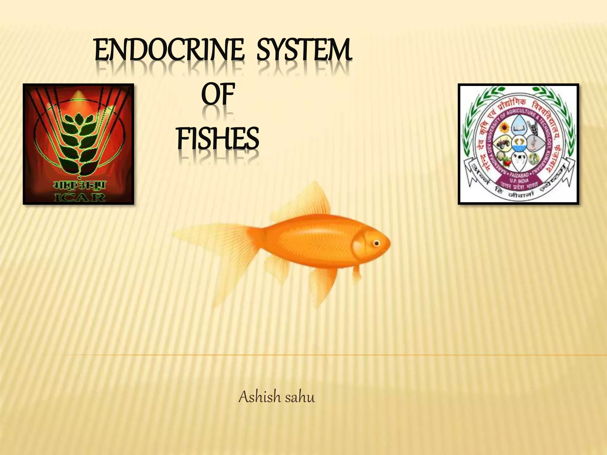 Endocrine system of fishes ppt | PPTX