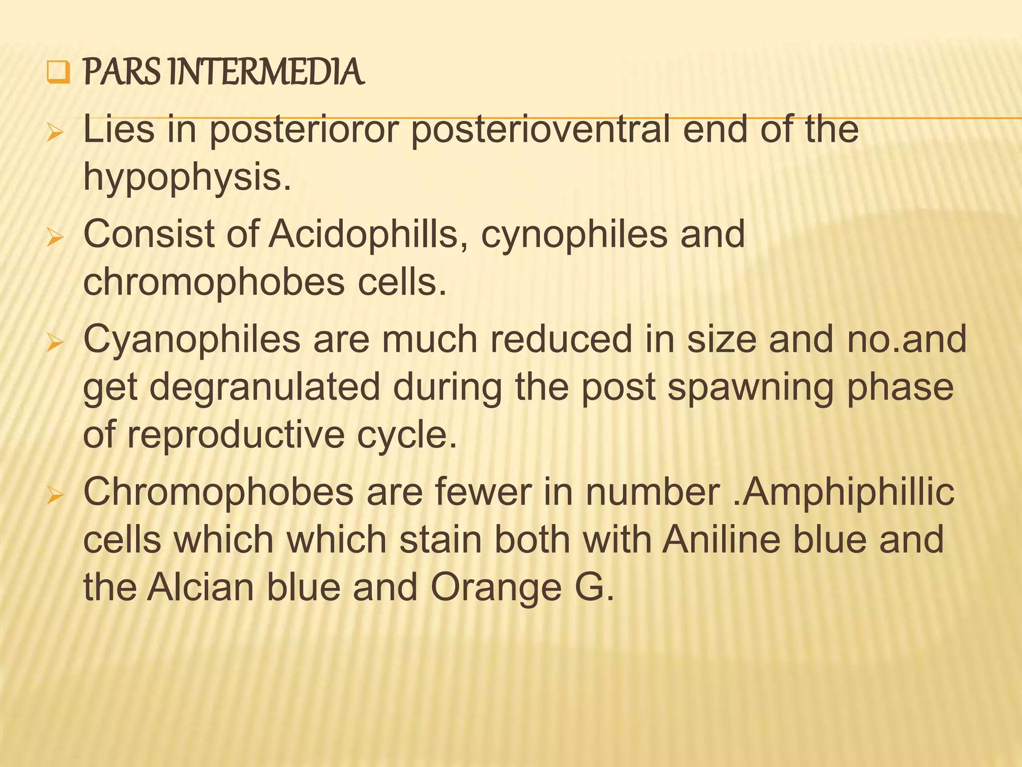 Endocrine system of fishes ppt | PPTX