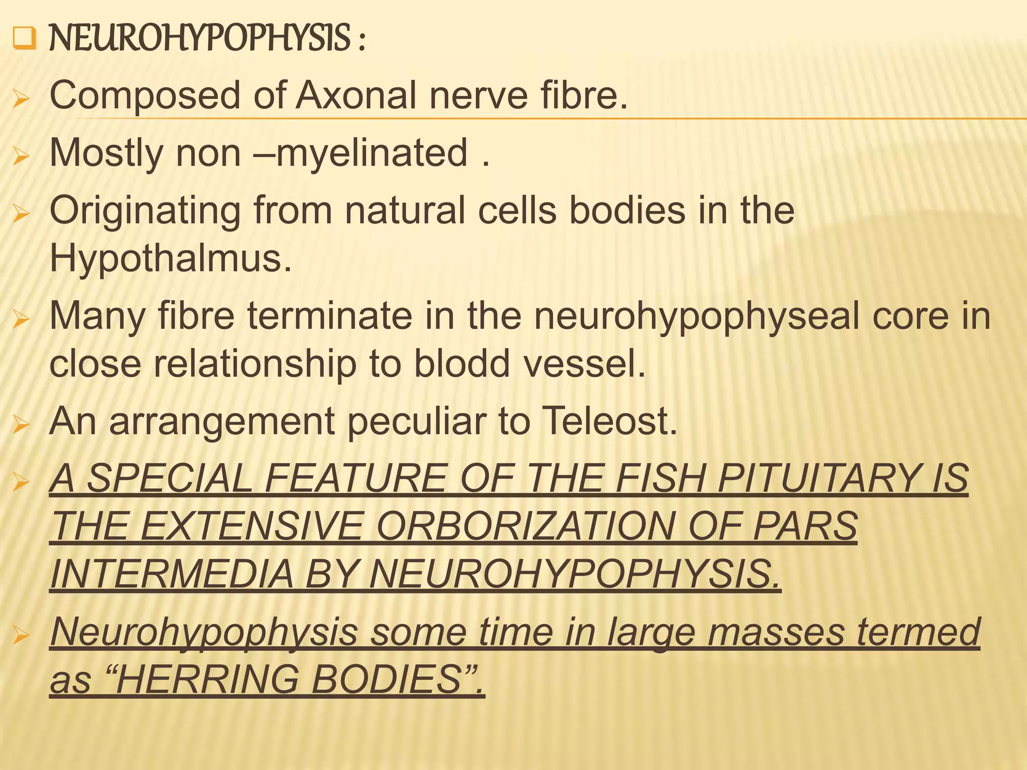 Endocrine system of fishes ppt | PPTX