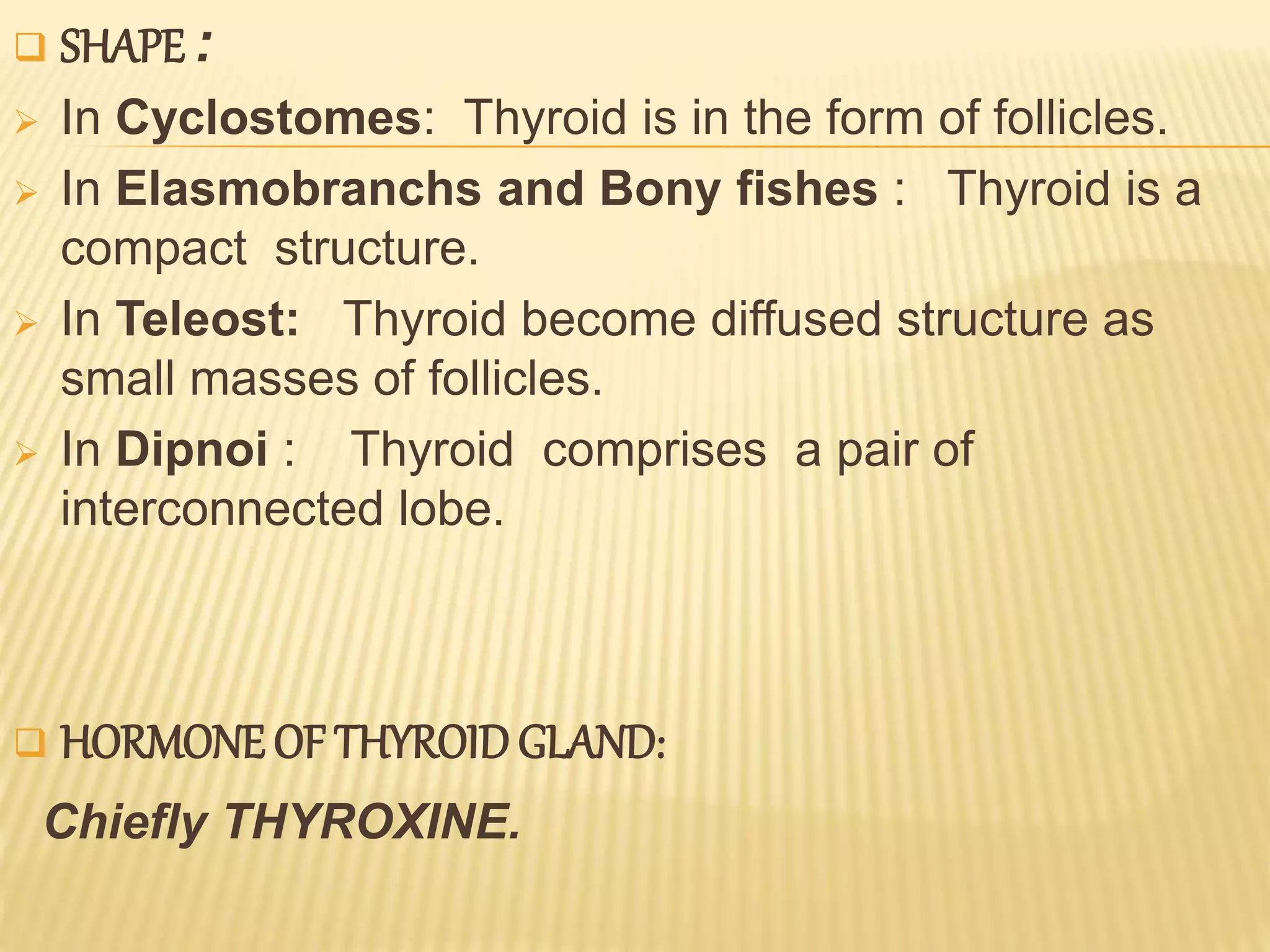 Endocrine system of fishes ppt | PPTX