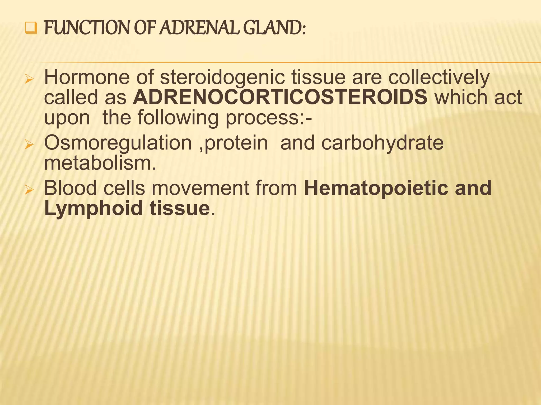 Endocrine system of fishes ppt | PPTX