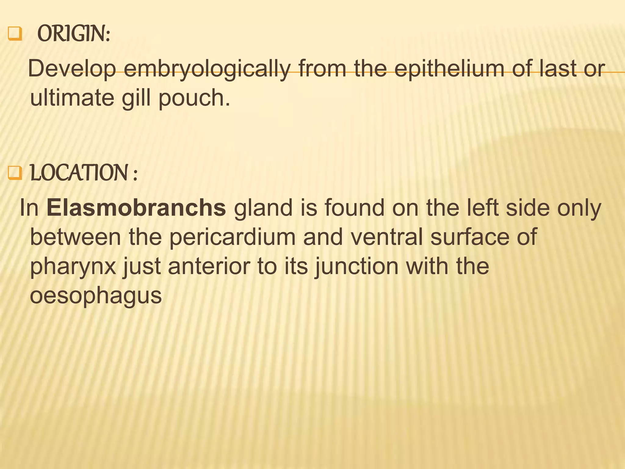 Endocrine system of fishes ppt | PPTX