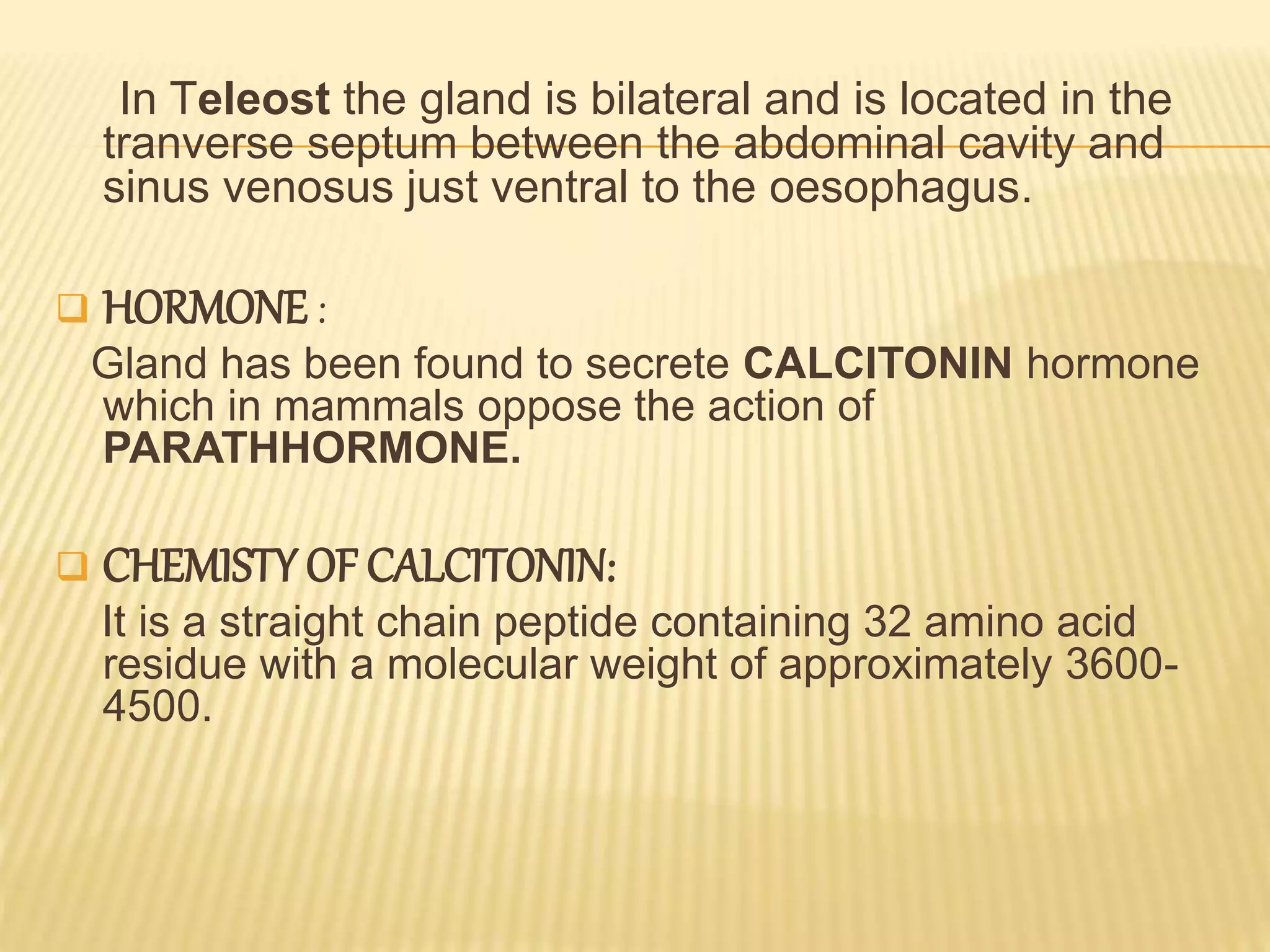 Endocrine system of fishes ppt | PPTX