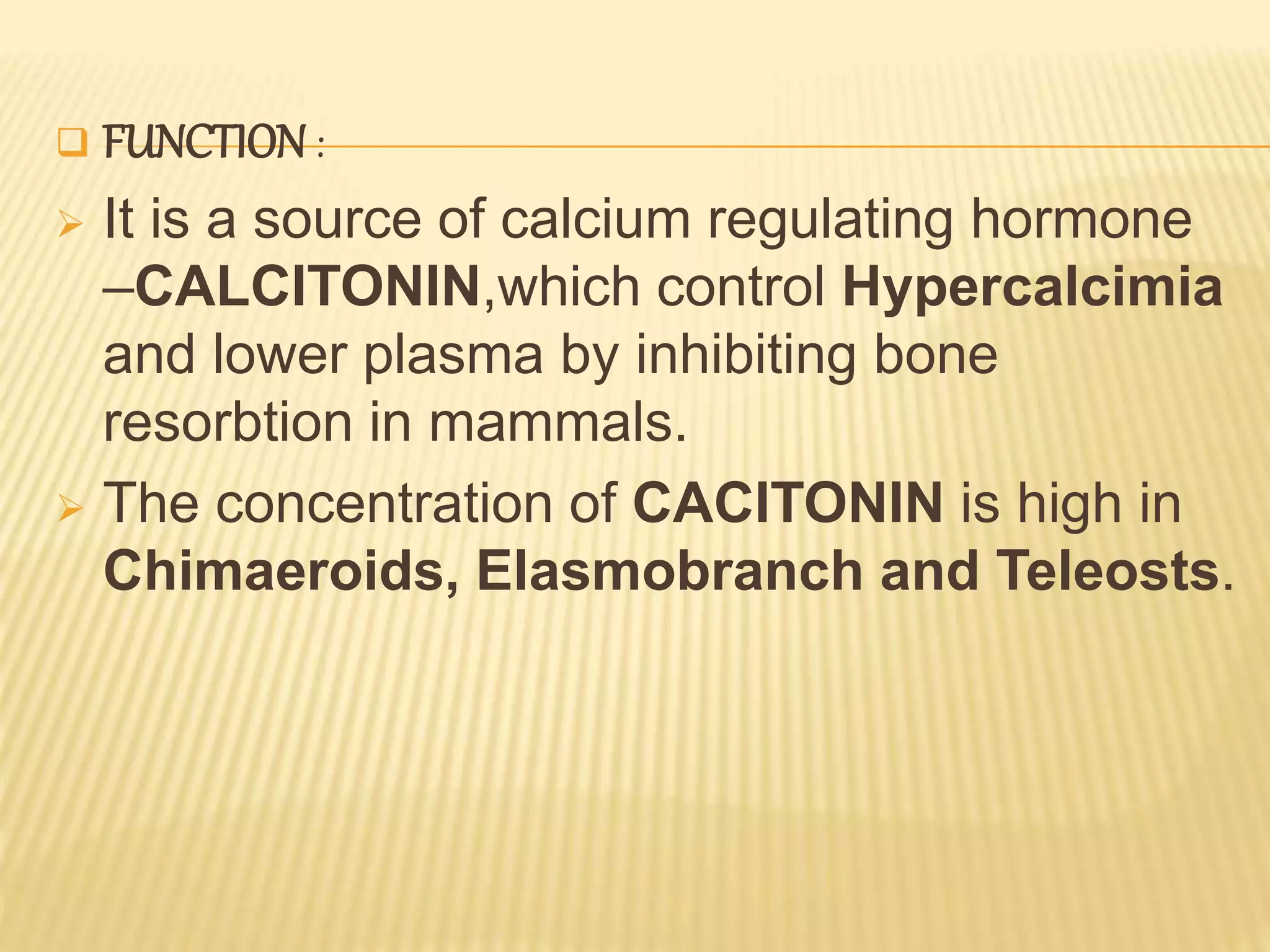 Endocrine system of fishes ppt | PPTX
