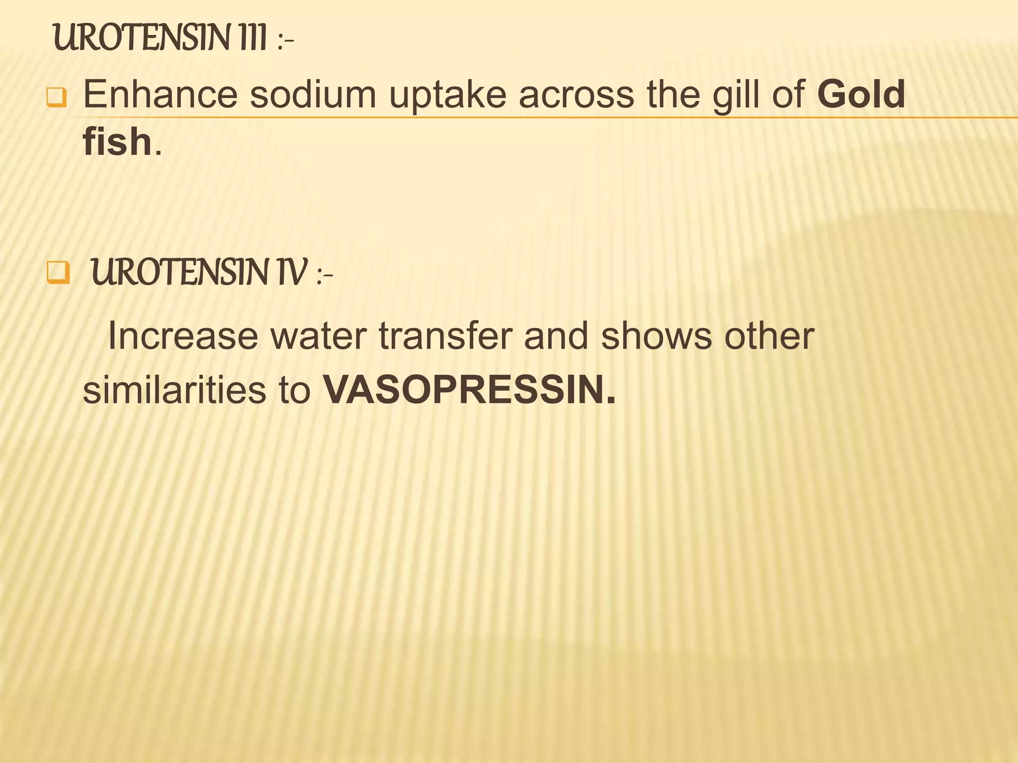 Endocrine system of fishes ppt | PPTX