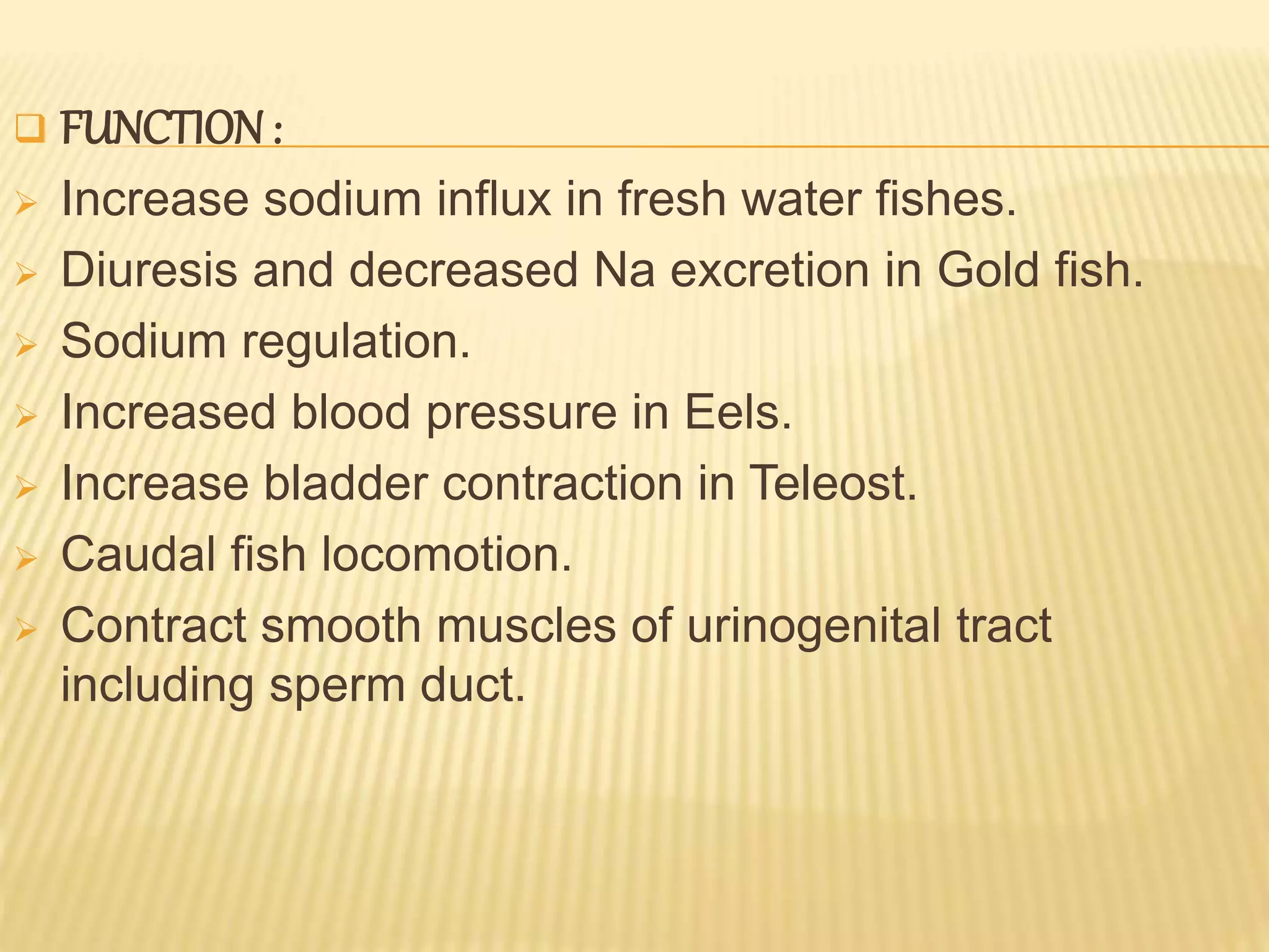 Endocrine system of fishes ppt | PPTX