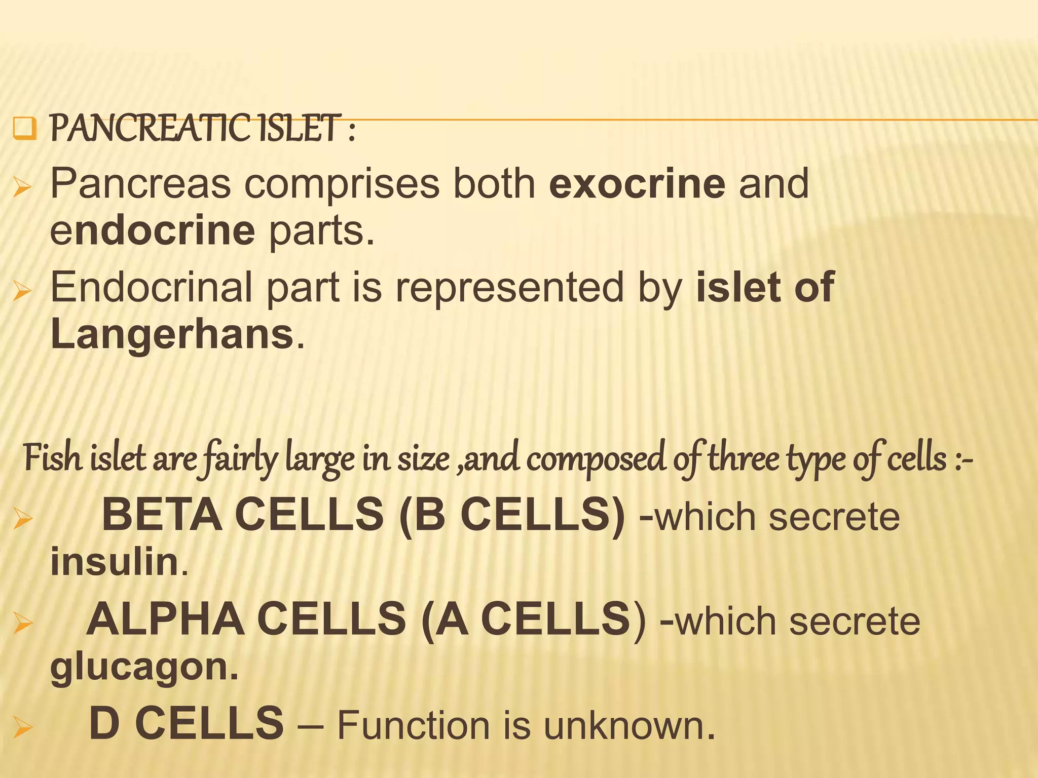 Endocrine system of fishes ppt | PPTX