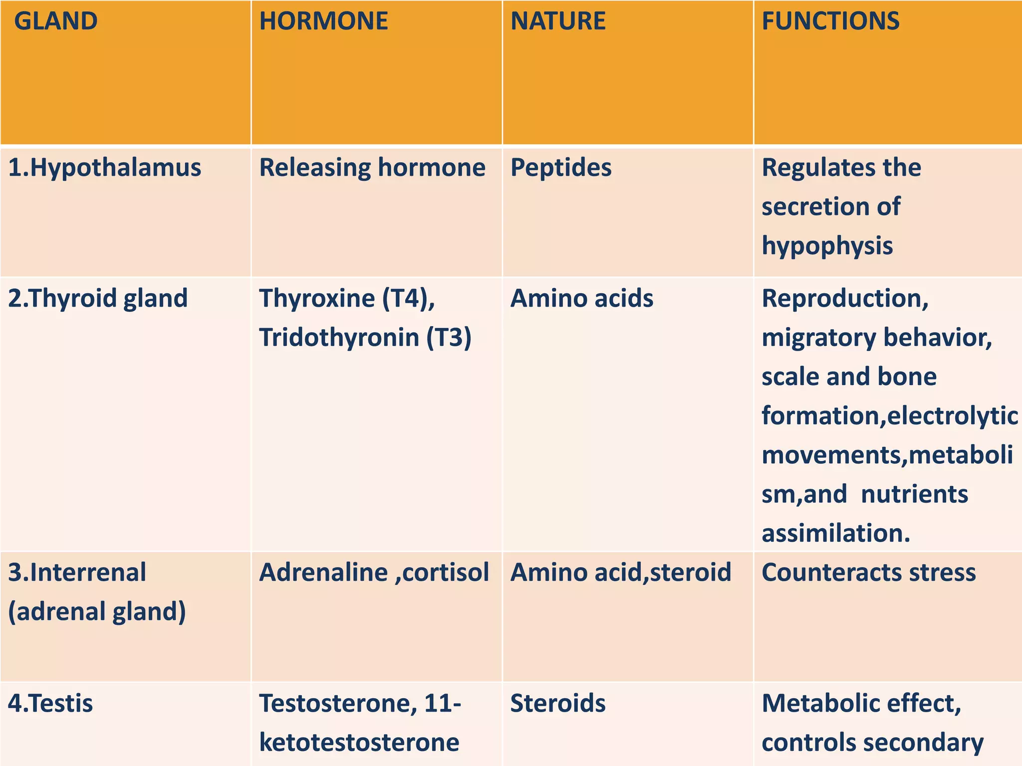 Endocrine system of fishes ppt | PPTX
