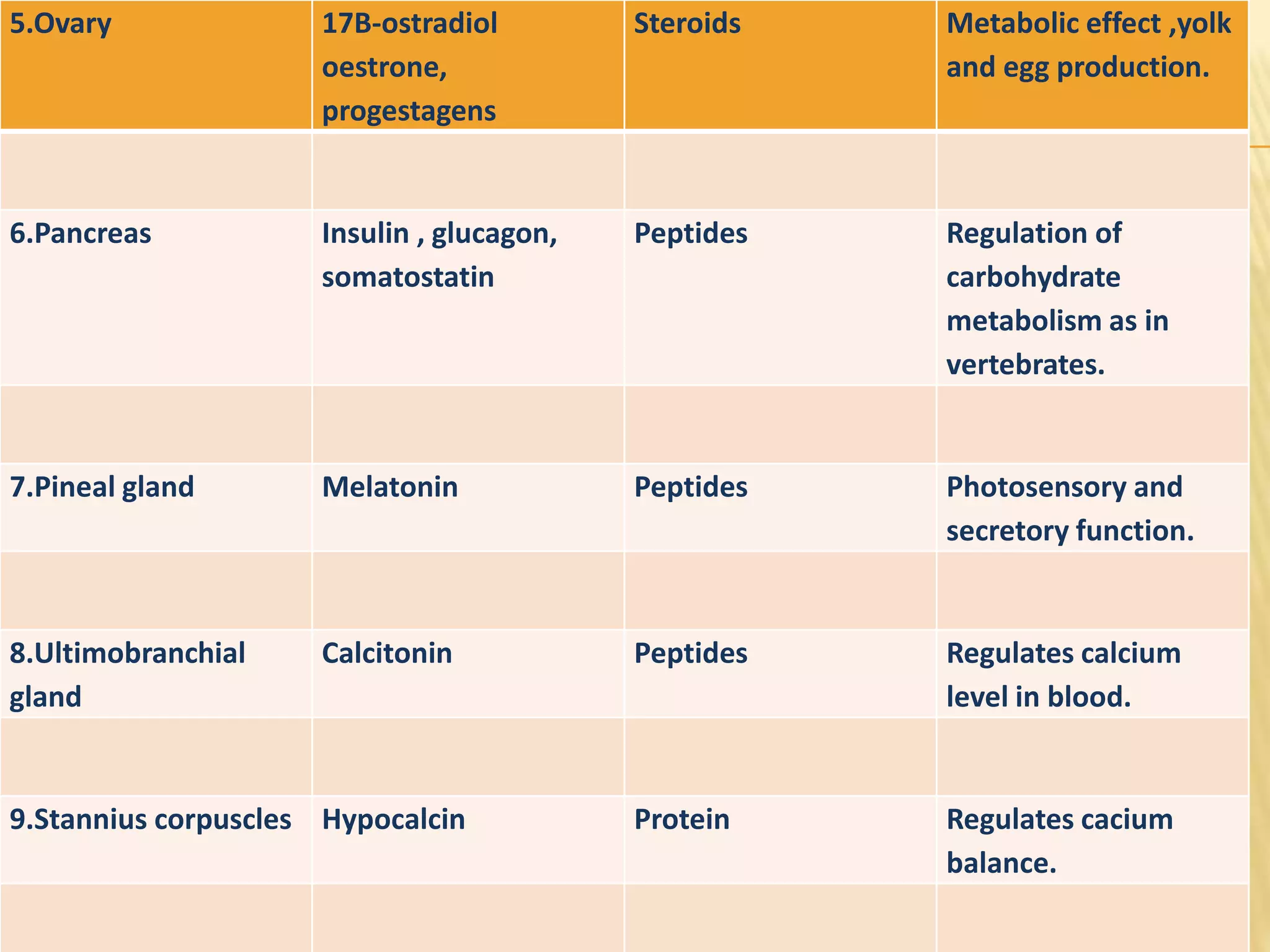 Endocrine system of fishes ppt | PPTX