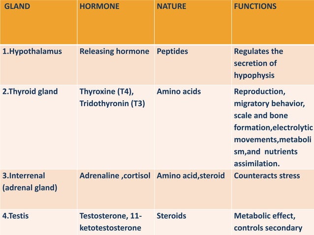 Endocrine system of fishes ppt | PPTX