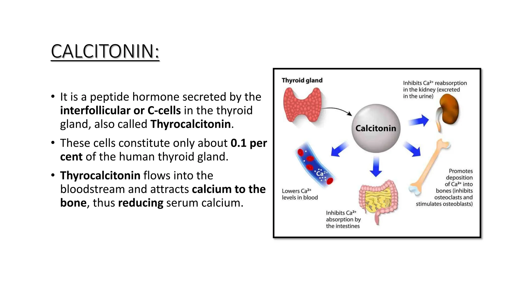 ENDOCRINE SYSTEM ORTHODONTICS.pptx