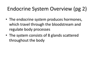 Endocrine system overview | PPT