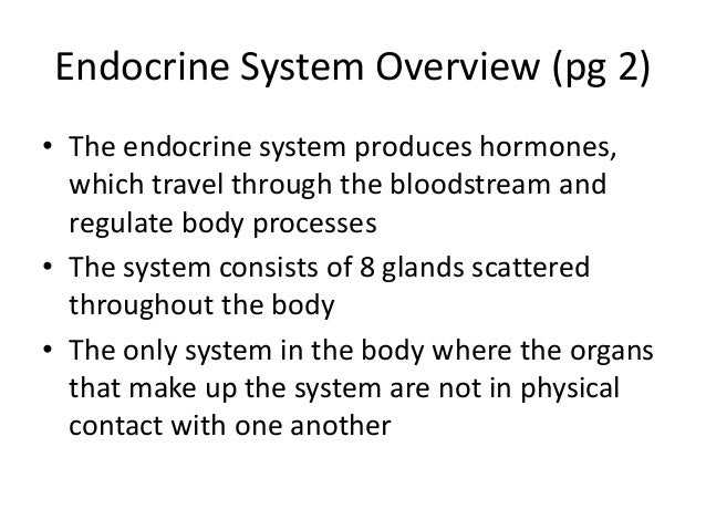 Endocrine system overview