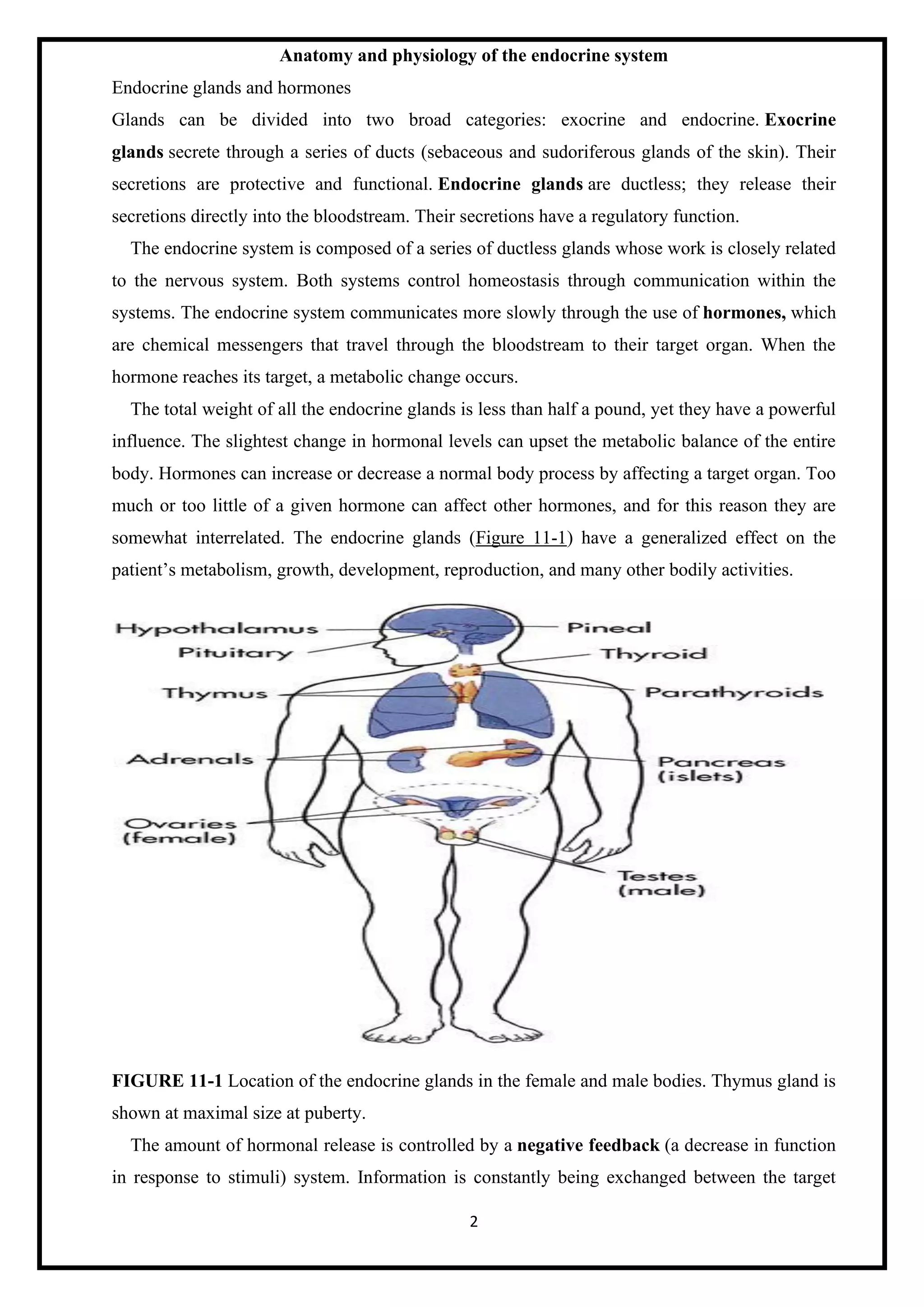 Endocrine system overview | PDF