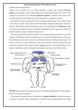 Endocrine system overview | PDF