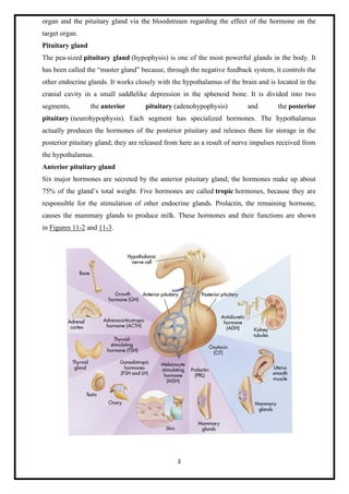 Endocrine system overview | PDF