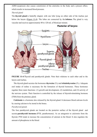 Endocrine system overview | PDF