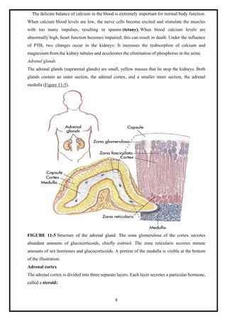 Endocrine system overview | PDF