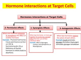 Endocrine system overview Prof. Mohamed Bendary.pdf