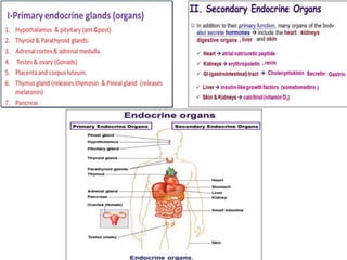 Endocrine system overview Prof. Mohamed Bendary.pdf