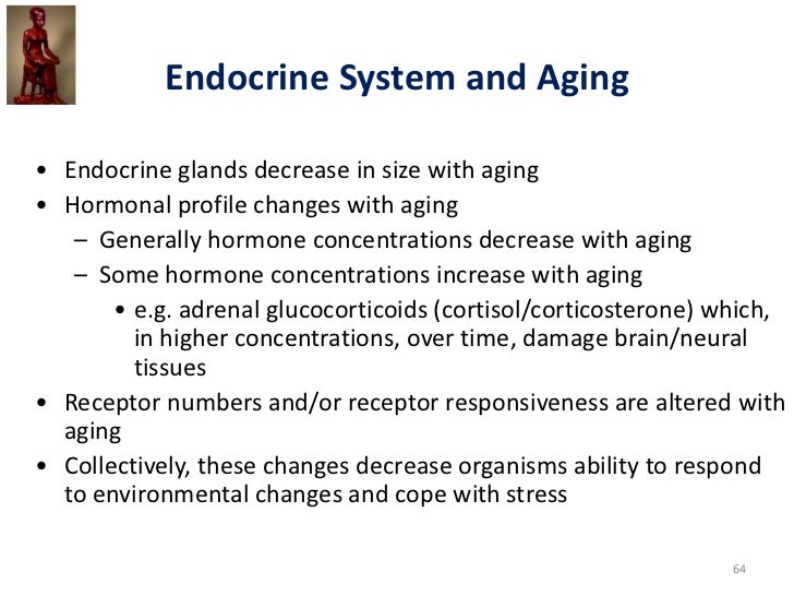 Endocrine Secretion and Action II