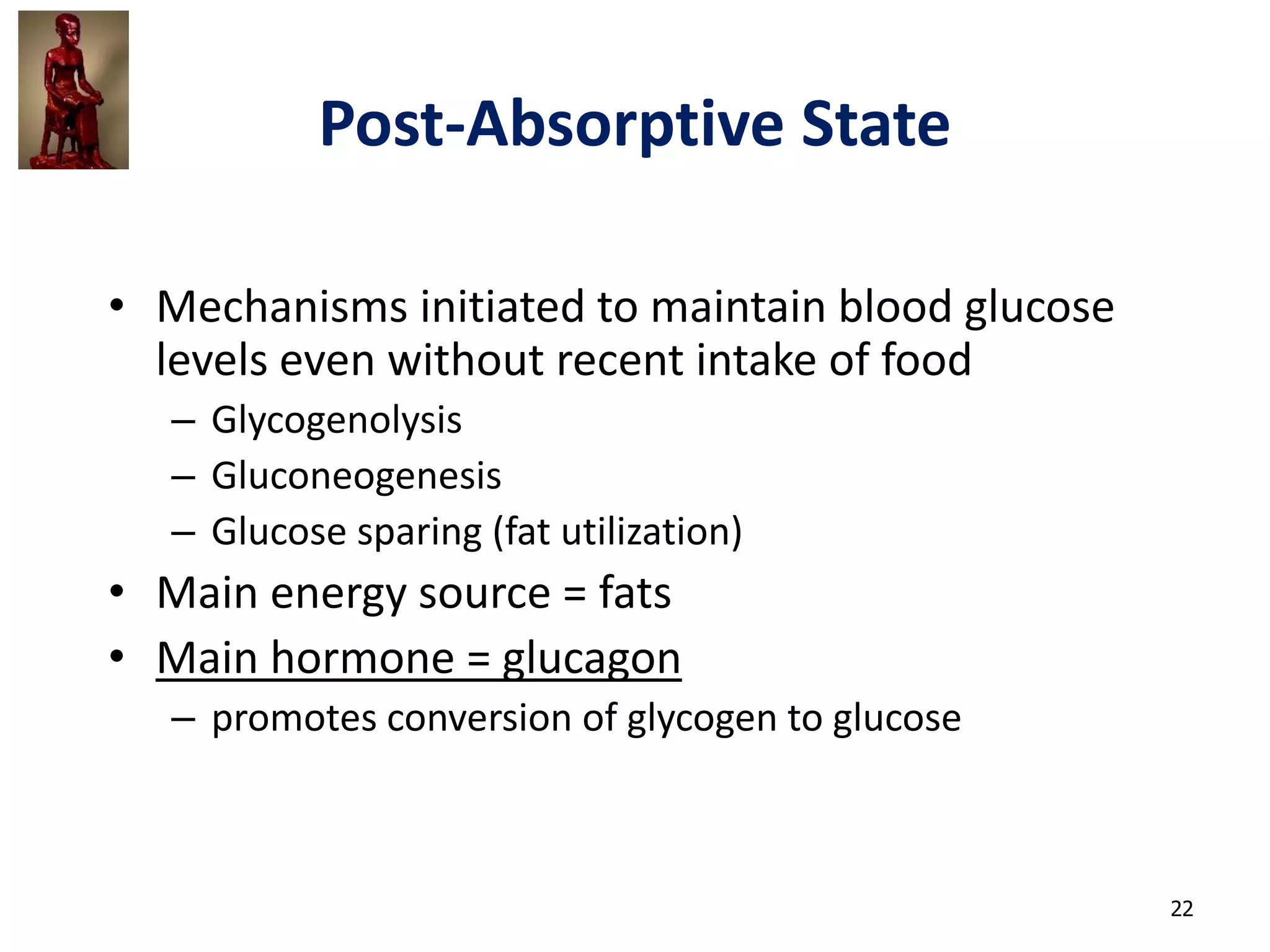IVMS Endocrine Part III-PATHOPHYSIOLOGY OF DIABETES MELLITUS | PDF