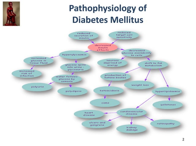 IVMS Endocrine Part III-PATHOPHYSIOLOGY OF DIABETES MELLITUS | PPT