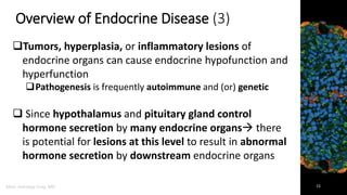 Endocrine System Pathology_ Ppt Lecture Series (5 in 1) | PDF