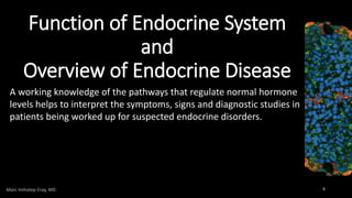 Endocrine System Pathology_ Ppt Lecture Series (5 in 1) | PDF