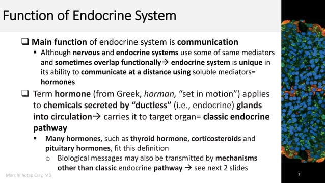 Endocrine System Pathology_ Ppt Lecture Series (5 in 1) | PDF | Thyroid ...