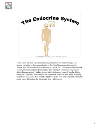 endocrine_system-pdf.pdf