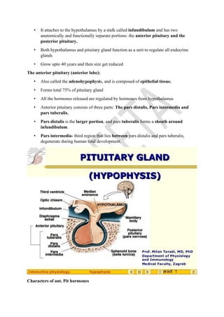 Endocrine system pharm D.pdf