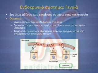 Το ενδοκρινικό σύστημα σε βρέφη, παιδικά κι εφήβους | PPTX