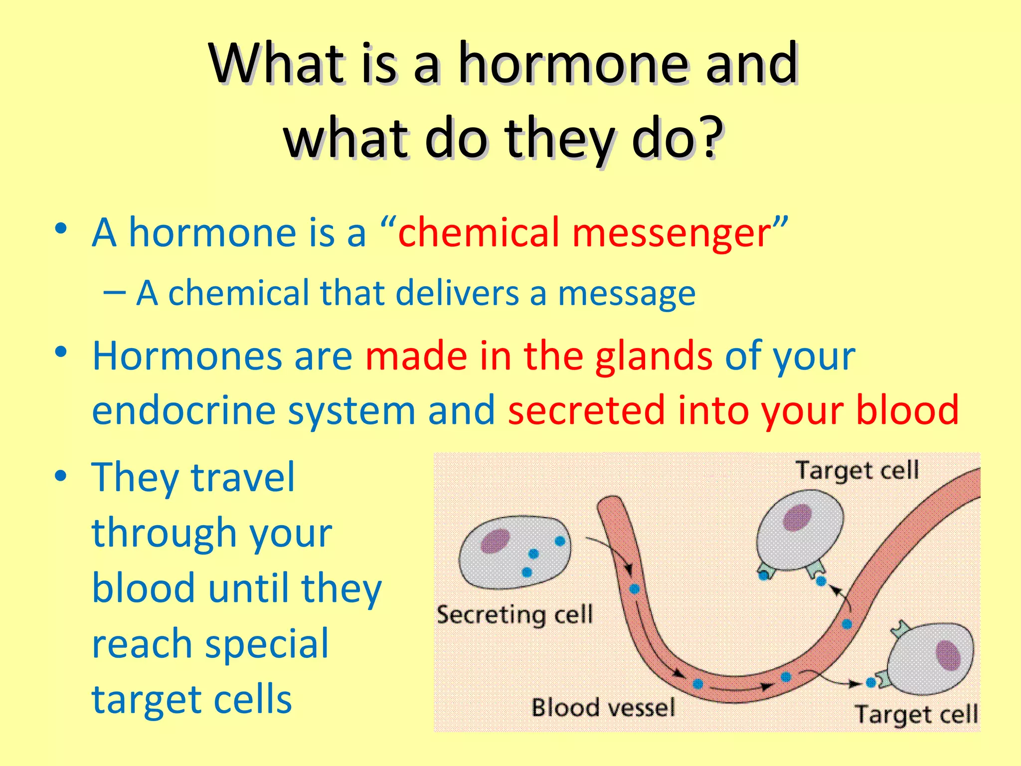 Endocrine System Notes Blevins 7th Grade Science | PPT