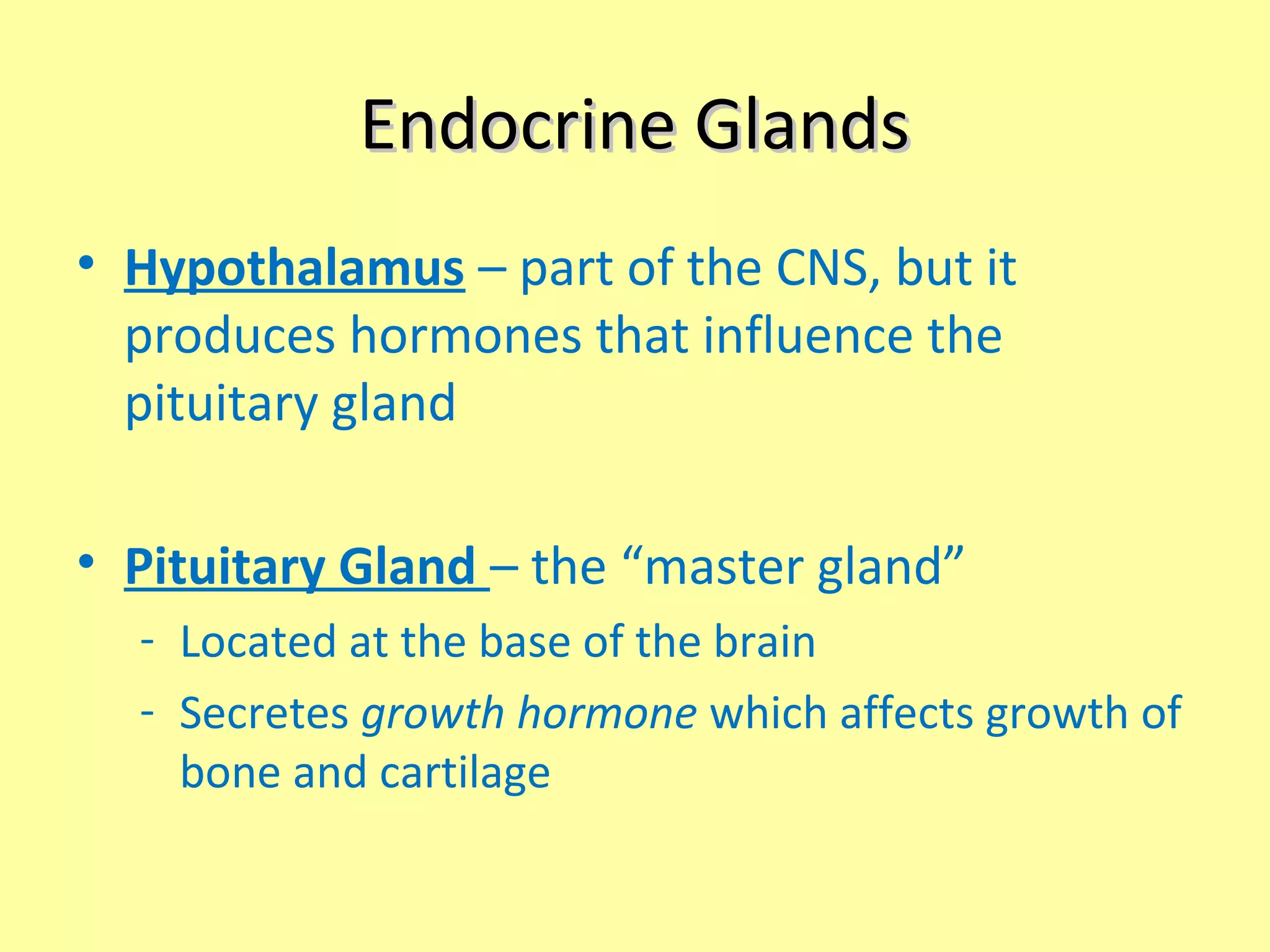 Endocrine System Notes Blevins 7th Grade Science | PPT
