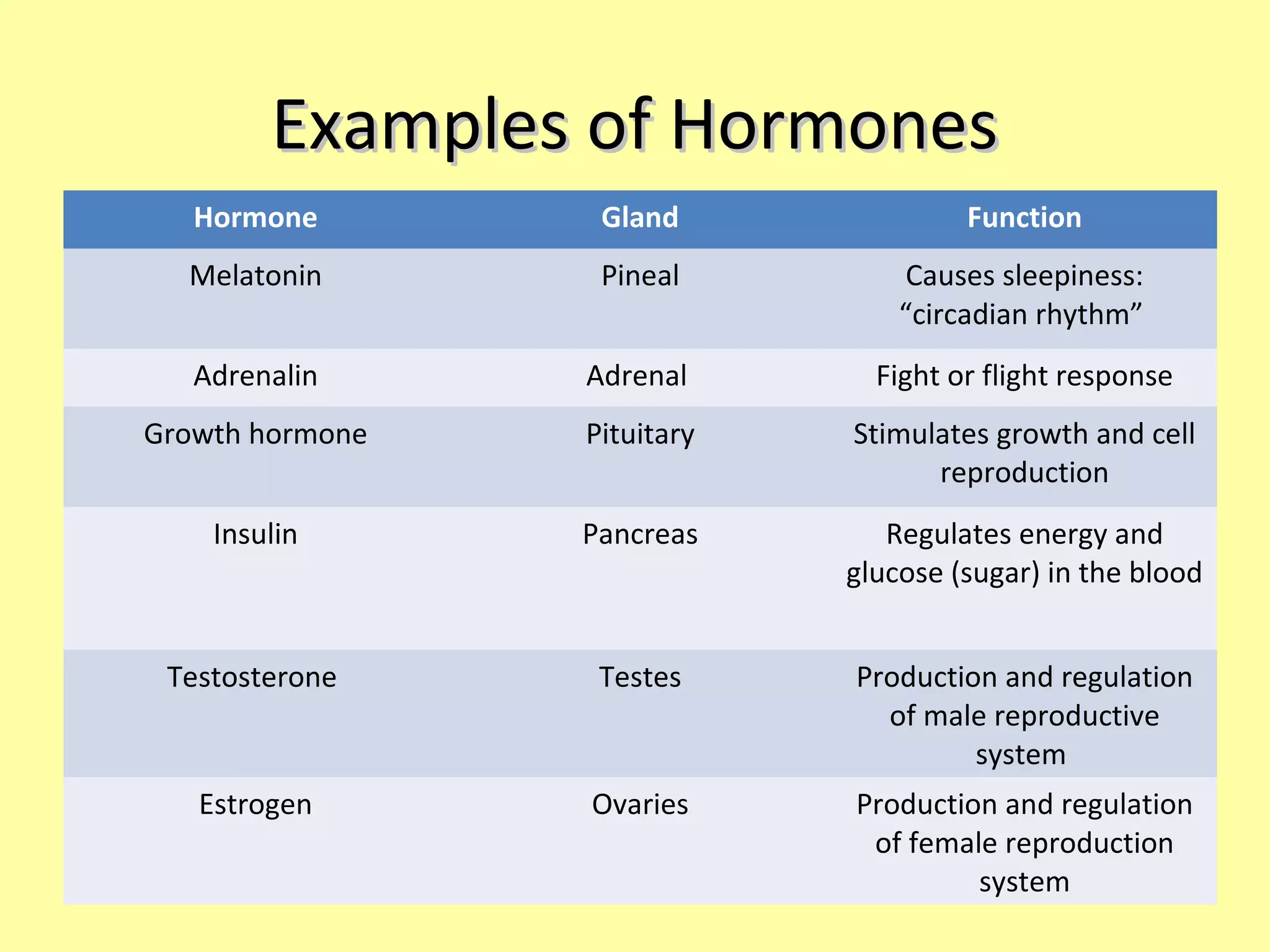 Endocrine System Notes Blevins 7th Grade Science | PPT