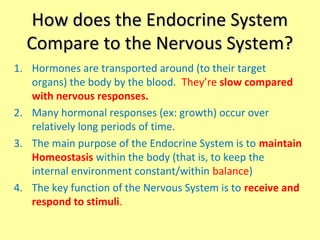 Endocrine System Notes Blevins 7th Grade Science | PPT